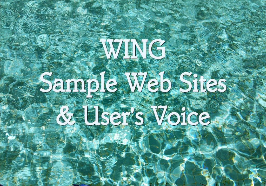 WING（AFFINGER5EX/AFFINGER5)使った利用者の声と実例がすごすぎる～サンプルサイト多数紹介 - インフォレビュー（INFOREVIEW）